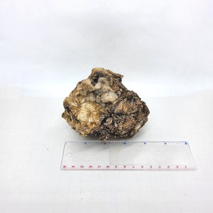 Pyrophyllite, 1.75 Lbs, Silver Ridge, Randolph County, NC, Display ...