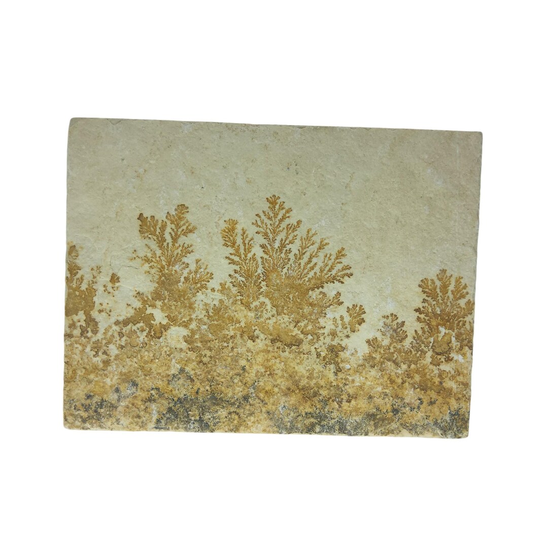 Dendritic Limestone, Slab, Cabbing Rough, Lapidary, #R-6554 - Etsy