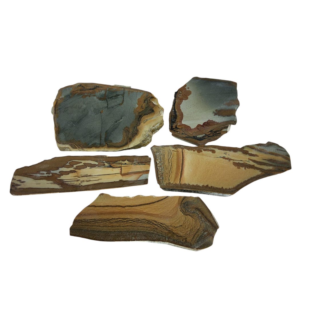 Original Owyhee Picture Jasper, Landscape, Slab, Lot, Cabbing Rough, #R ...