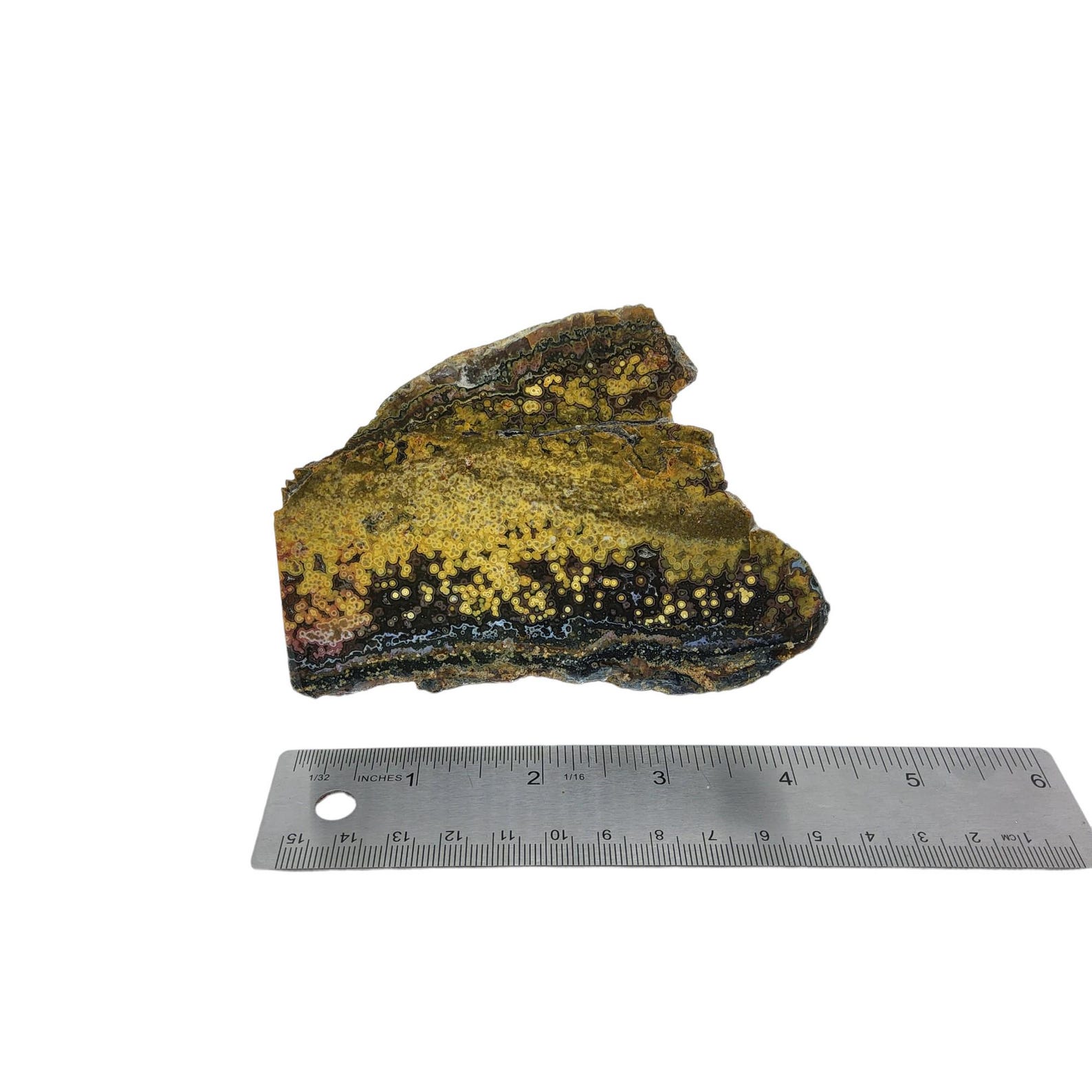 River Jasper, Slab, Polished, High Grade, Display, Specimen, #R-6201 - Etsy