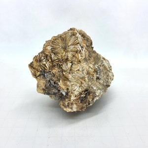 Pyrophyllite, 1.75 Lbs, Silver Ridge, Randolph County, NC, Display ...