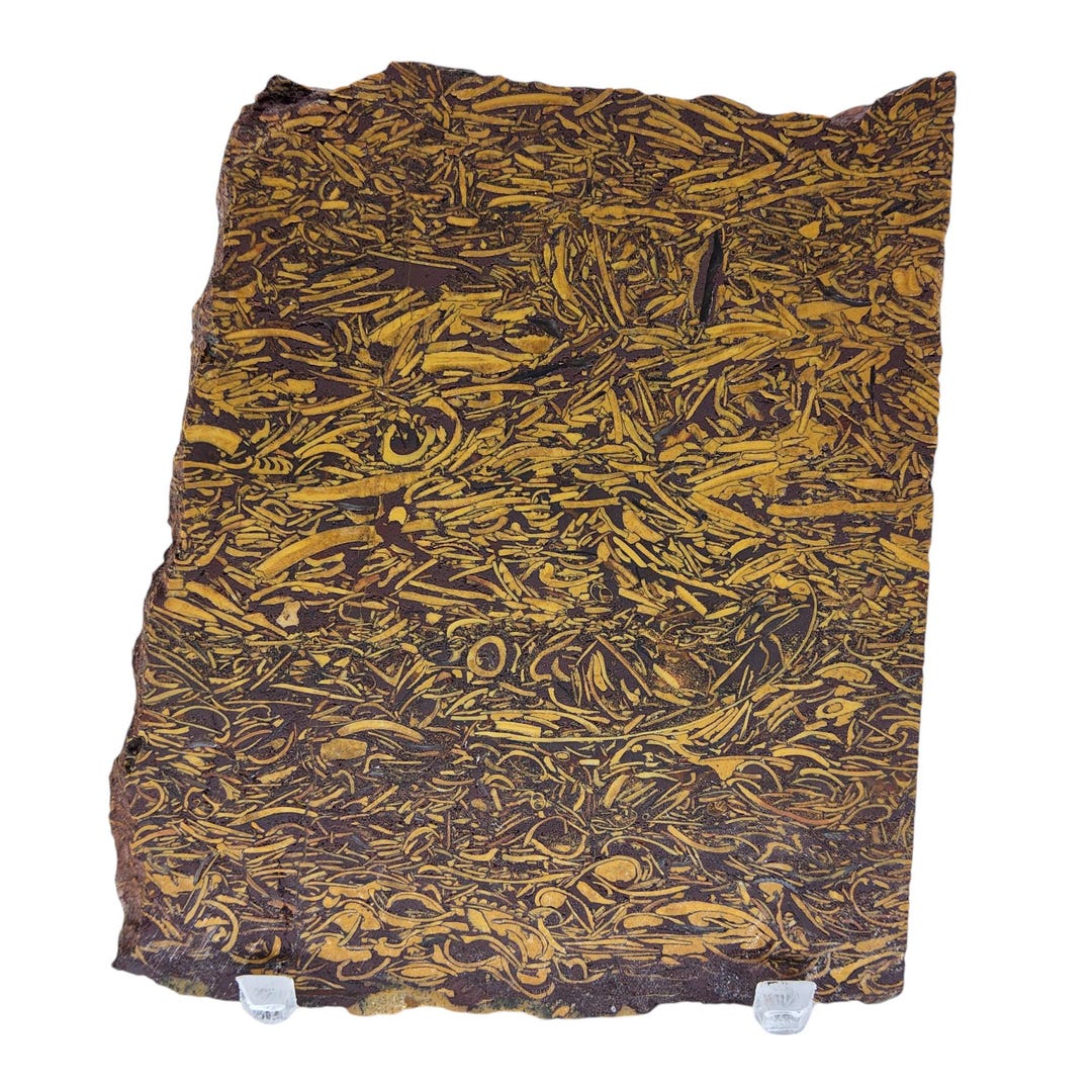 Calligraphy Jasper, Script Stone, Slab, Cabbing Rough, Lapidary, R-6408 ...