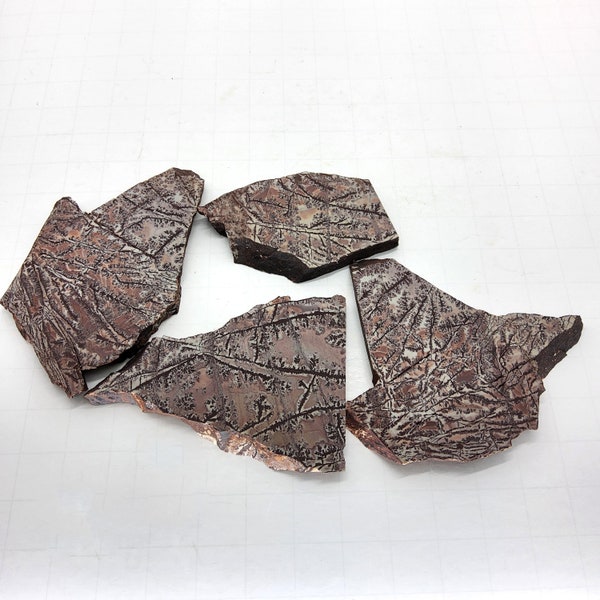 Rhyolite Rough - Etsy