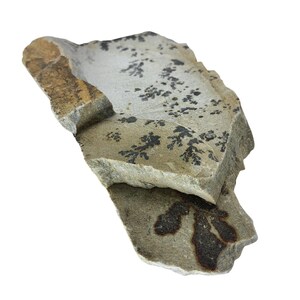 Dendritic Limestone, 1.5 Lbs, Cabbing Rough, Lapidary, Gemstone, #R ...
