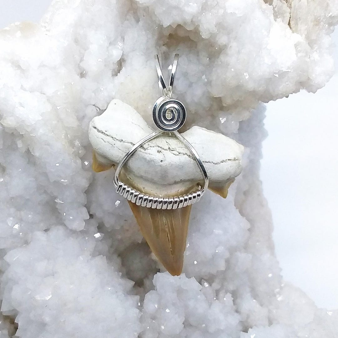 Shark Tooth, Wire-wrapped, Necklace, Sterling Silver, Handmade, #2041 ...