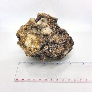 Pyrophyllite, 1.75 Lbs, Silver Ridge, Randolph County, NC, Display ...