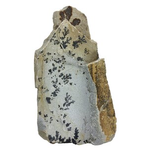 Dendritic Limestone, 1.5 Lbs, Cabbing Rough, Lapidary, Gemstone, #R ...