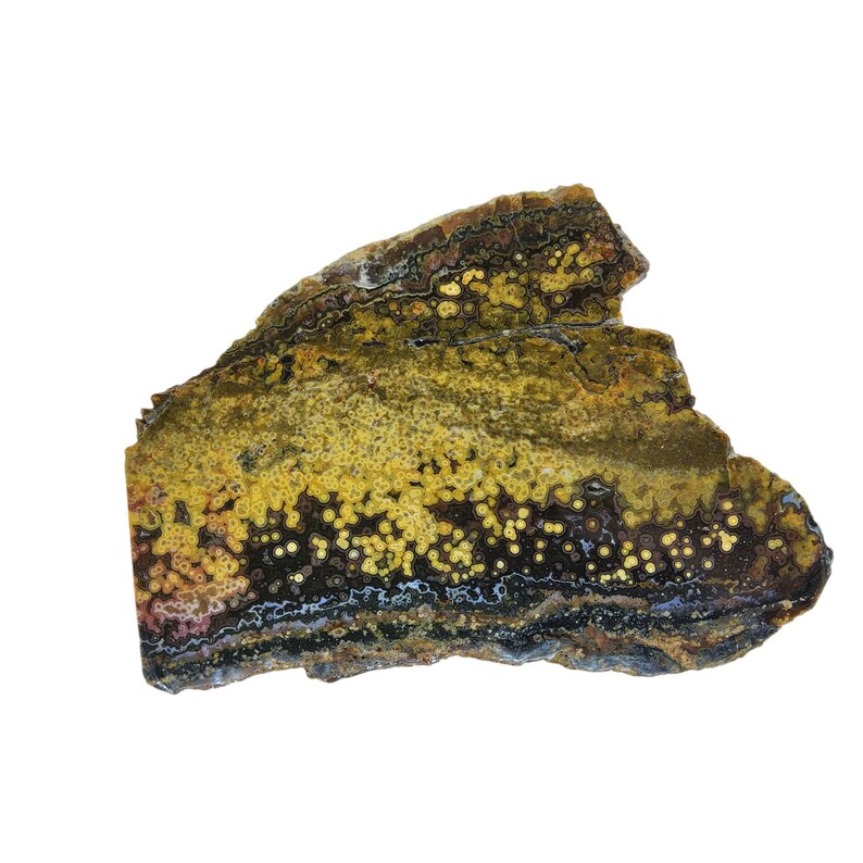 River Jasper, Slab, Polished, High Grade, Display, Specimen, #R-6201 - Etsy