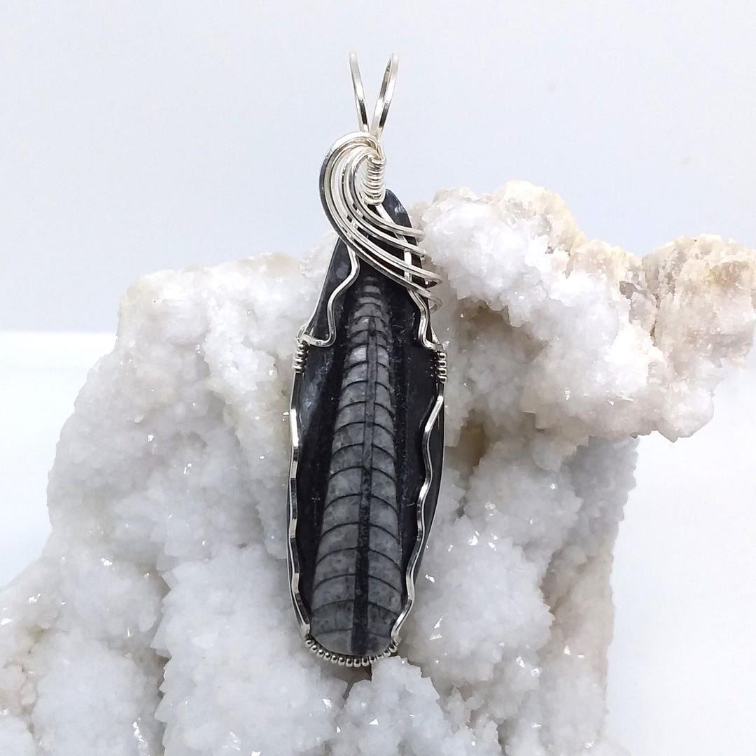 Orthoceras, Fossil, Wire-wrapped, Necklace, Sterling Silver, Handmade ...
