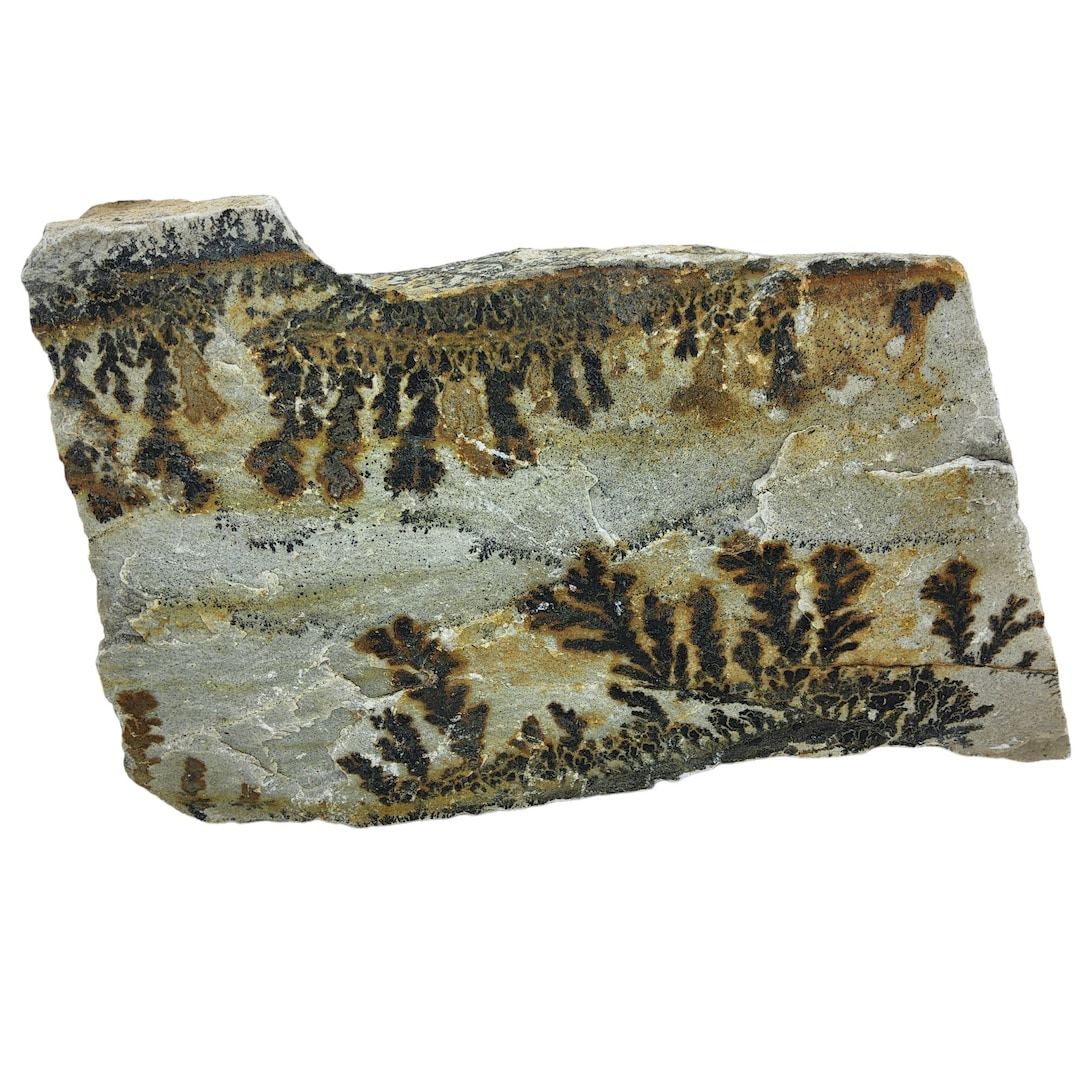 Dendritic Limestone, 4.25 Lbs, Cabbing Rough, Lapidary, Gemstone, #R ...