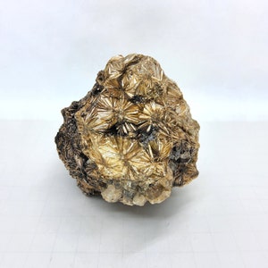 Pyrophyllite, 1.75 Lbs, Silver Ridge, Randolph County, NC, Display ...