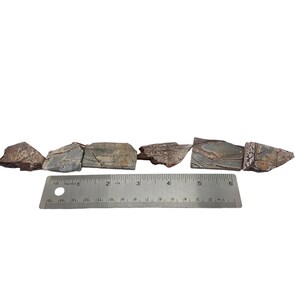 Sonoran Dendritic Rhyolite, Slab, Lot, Cabbing Rough, Lapidary ...