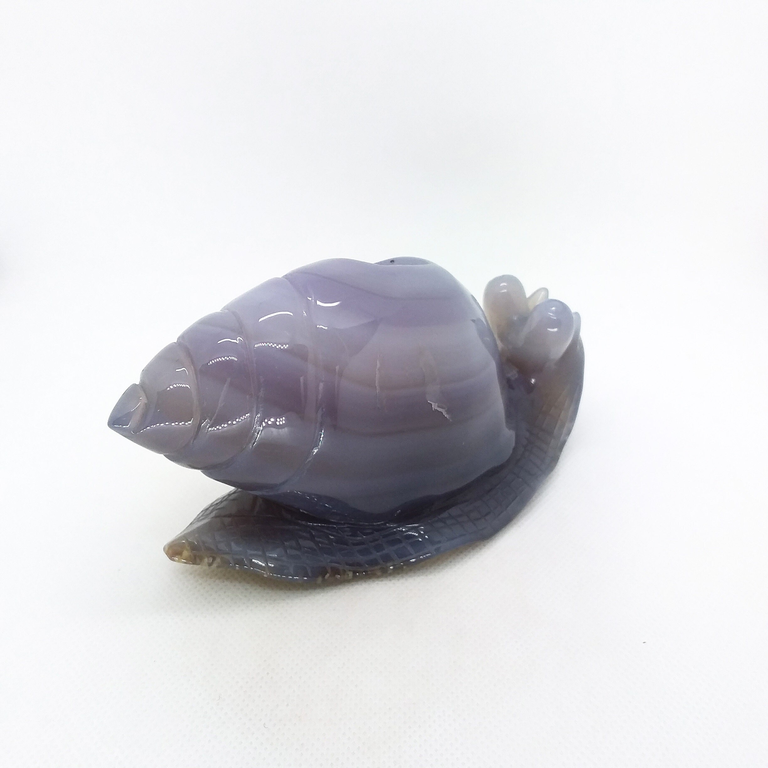Agate Snail 5 Carving Druzy Display Specimen | Etsy