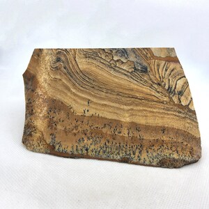 African Queen Picture Jasper, 2.5+ Lbs, Namibia, Landscape, Cabbing ...