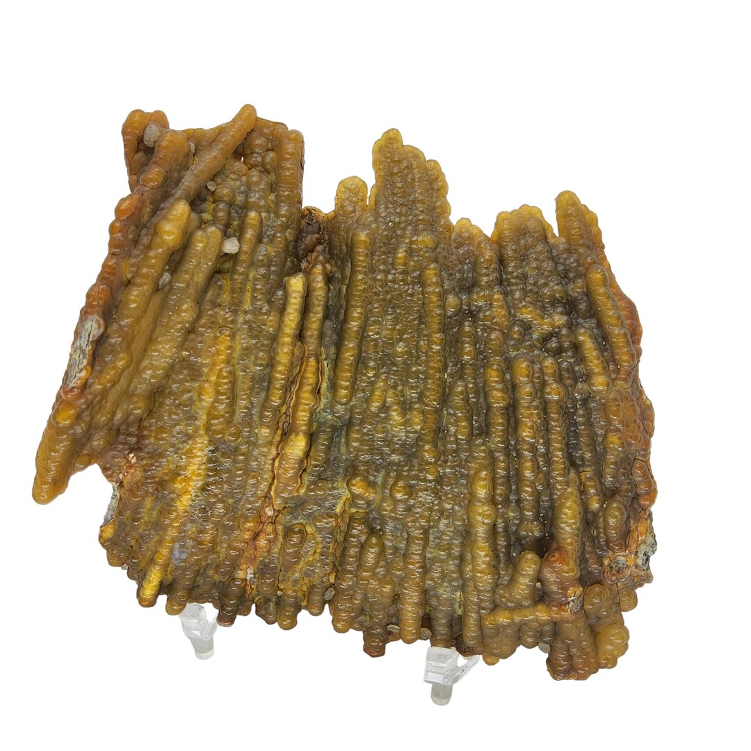 Agatized Coral, Fossil Coral, Display, Specimen, Gemstone, Rock, #R ...