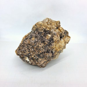 Pyrophyllite, 1.75 Lbs, Silver Ridge, Randolph County, NC, Display ...
