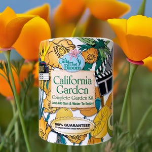 California Poppy Garden Kit - Etsy
