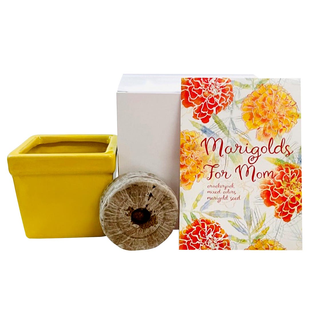 Marigold's for Mom Flower Seed Kit - Etsy