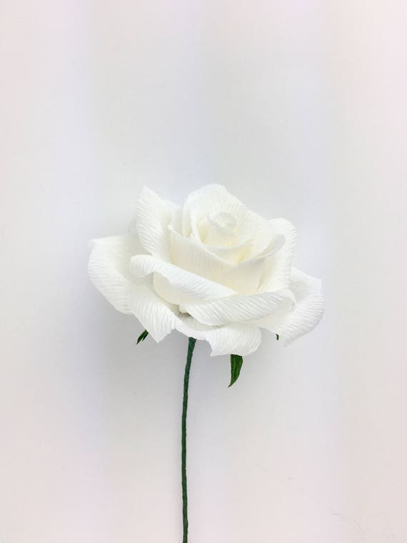Single White Rose Stem