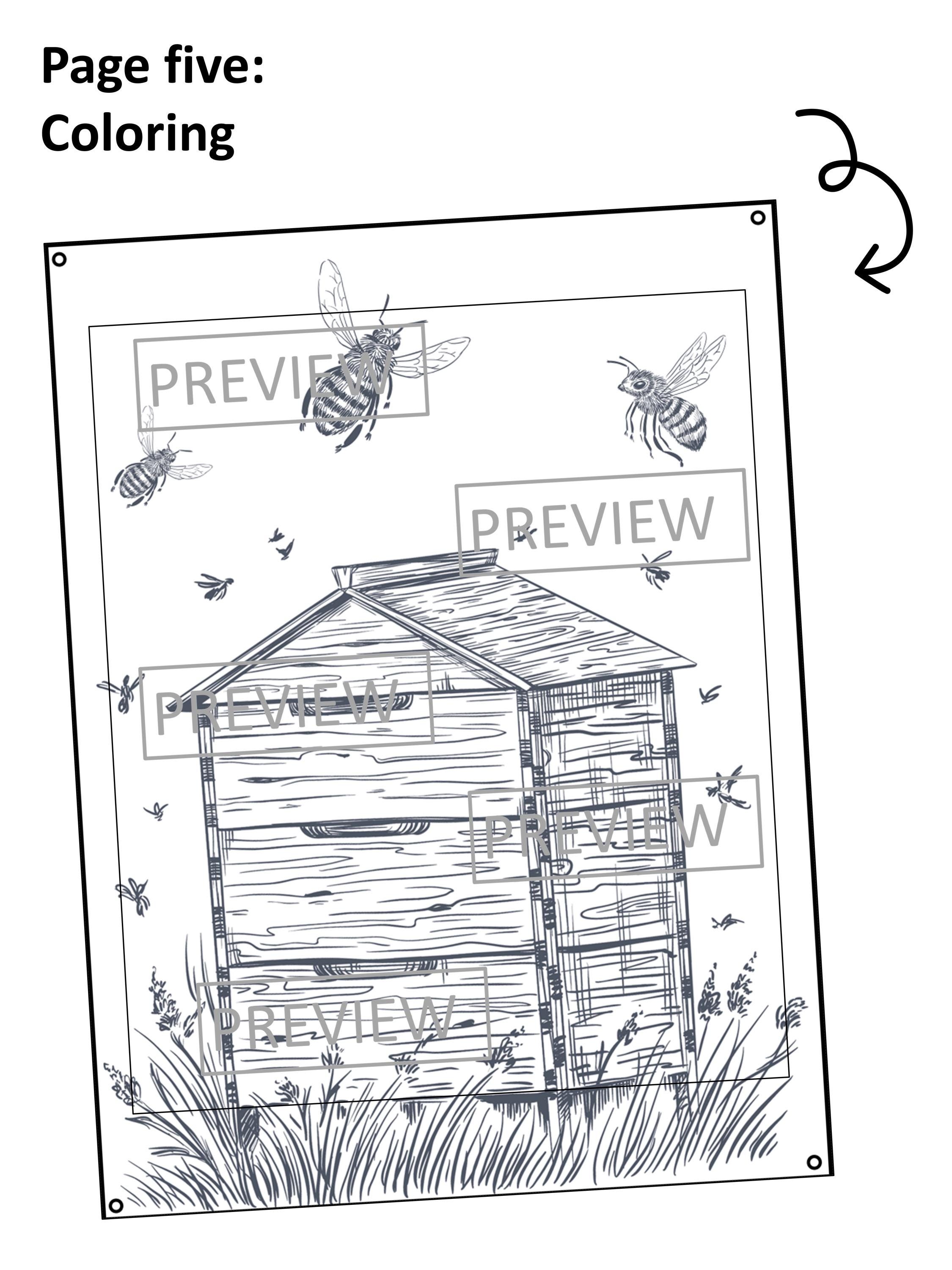 Bees Coloring Page and Graphic Organizer Animal Study Printable Perfect ...