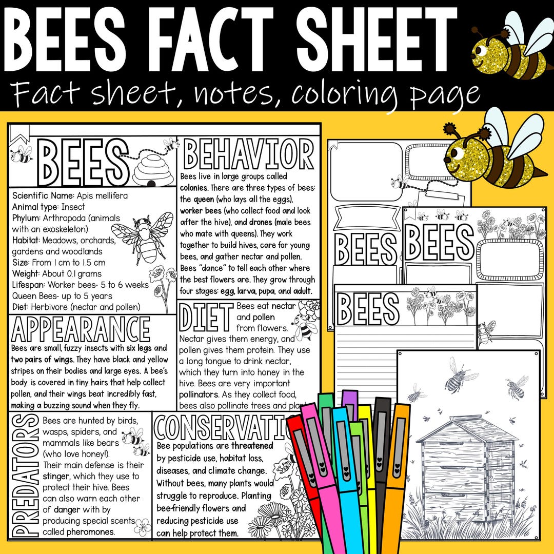 Bees Coloring Page and Graphic Organizer Animal Study Printable Perfect ...