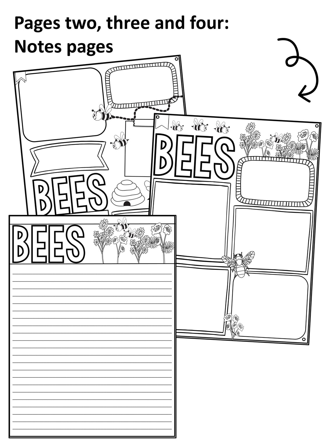 Bees Coloring Page and Graphic Organizer Animal Study Printable Perfect ...