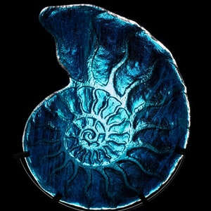 Blue Nautilus Cast Glass Ammonite by Bonnie Pelnar - Etsy