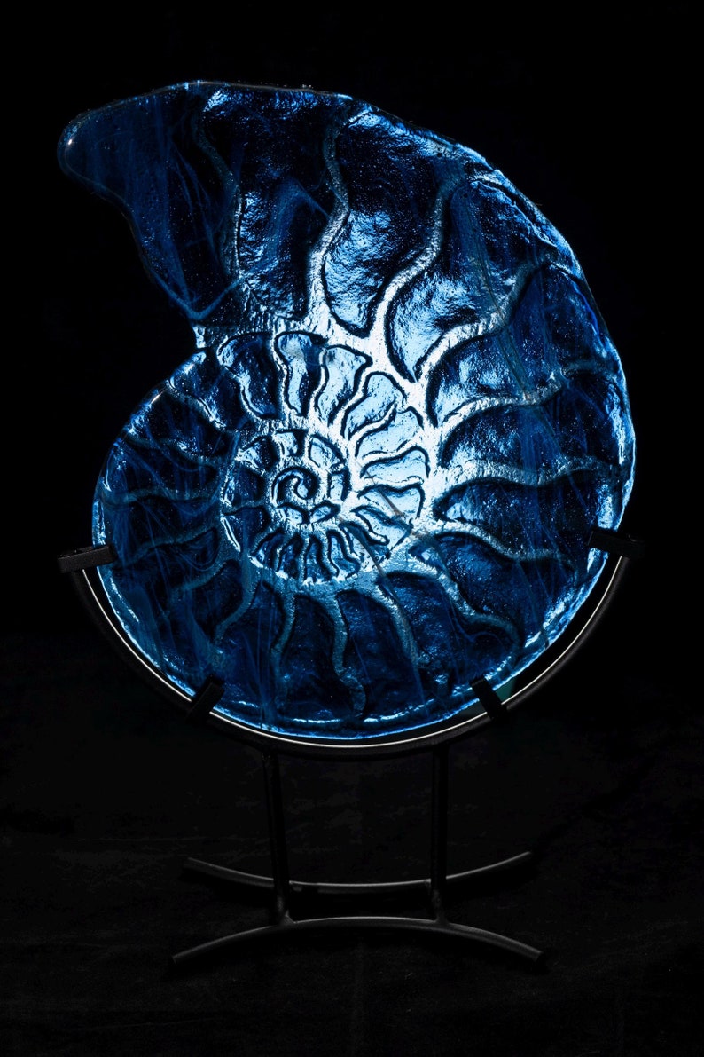 Indigo Nautilus Cast Glass Ammonite by Bonnie Pelnar - Etsy
