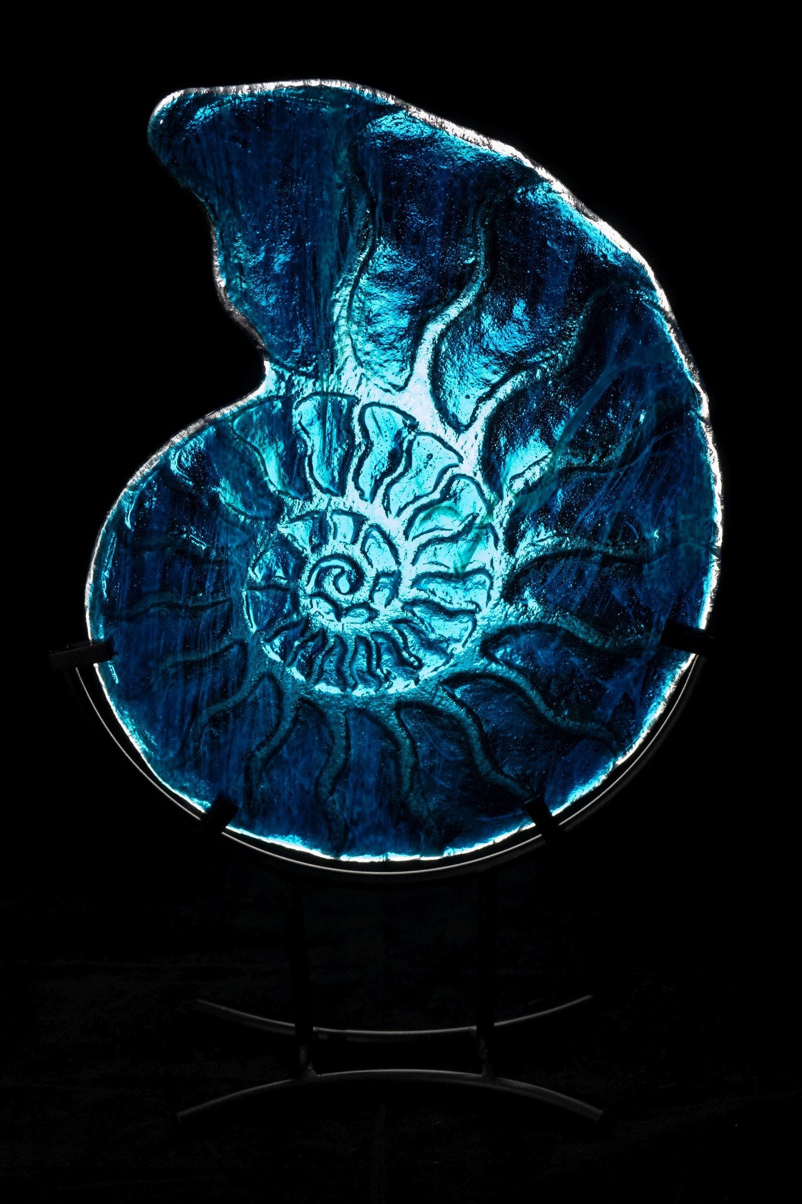 Blue Nautilus Cast Glass Ammonite by Bonnie Pelnar - Etsy