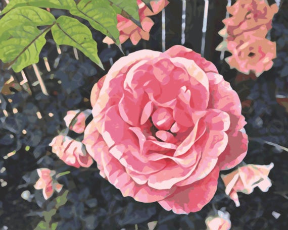 Printable Instant Download Pink Rose Art - Etsy