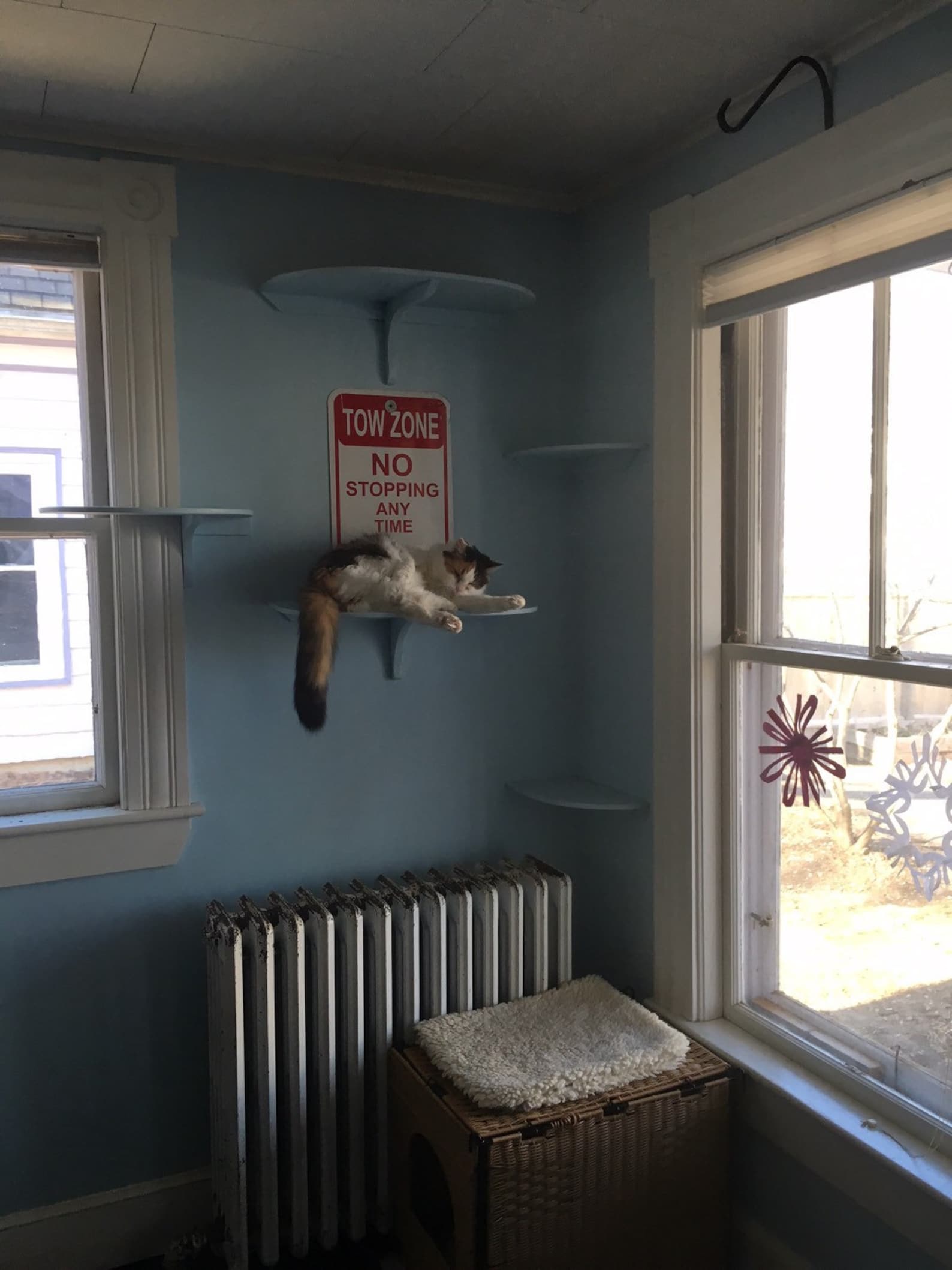 Large Mid-wall Mounted Perch - Etsy