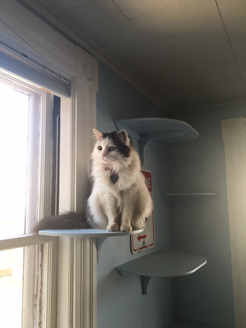 Small Window Wrap around Perch | Etsy