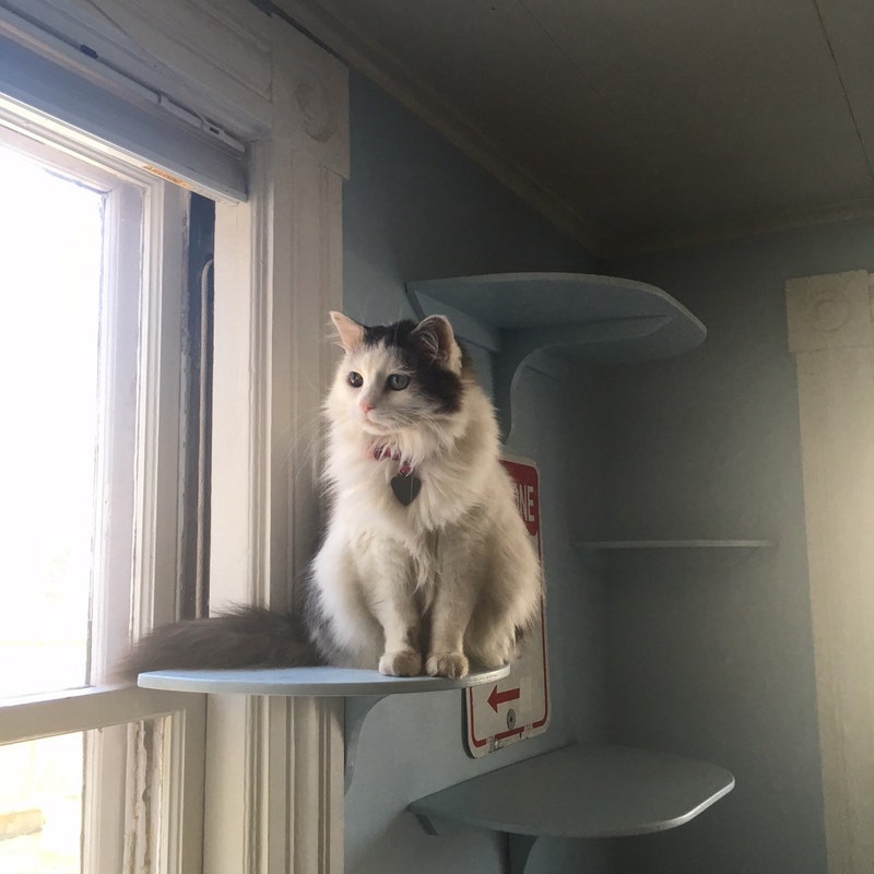 Cat Window Perch - Etsy