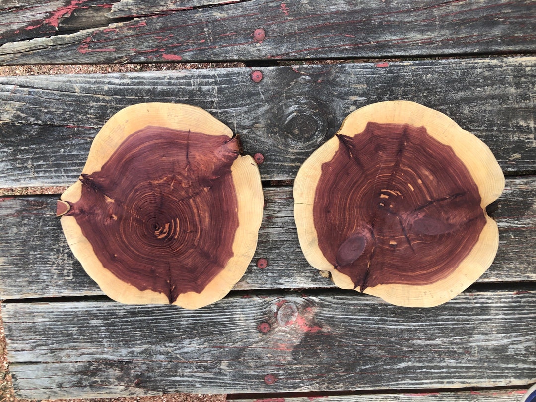 Set of 2 Finished Live Edge Round Wood Crosscut Centerpieces Red Cedar ...