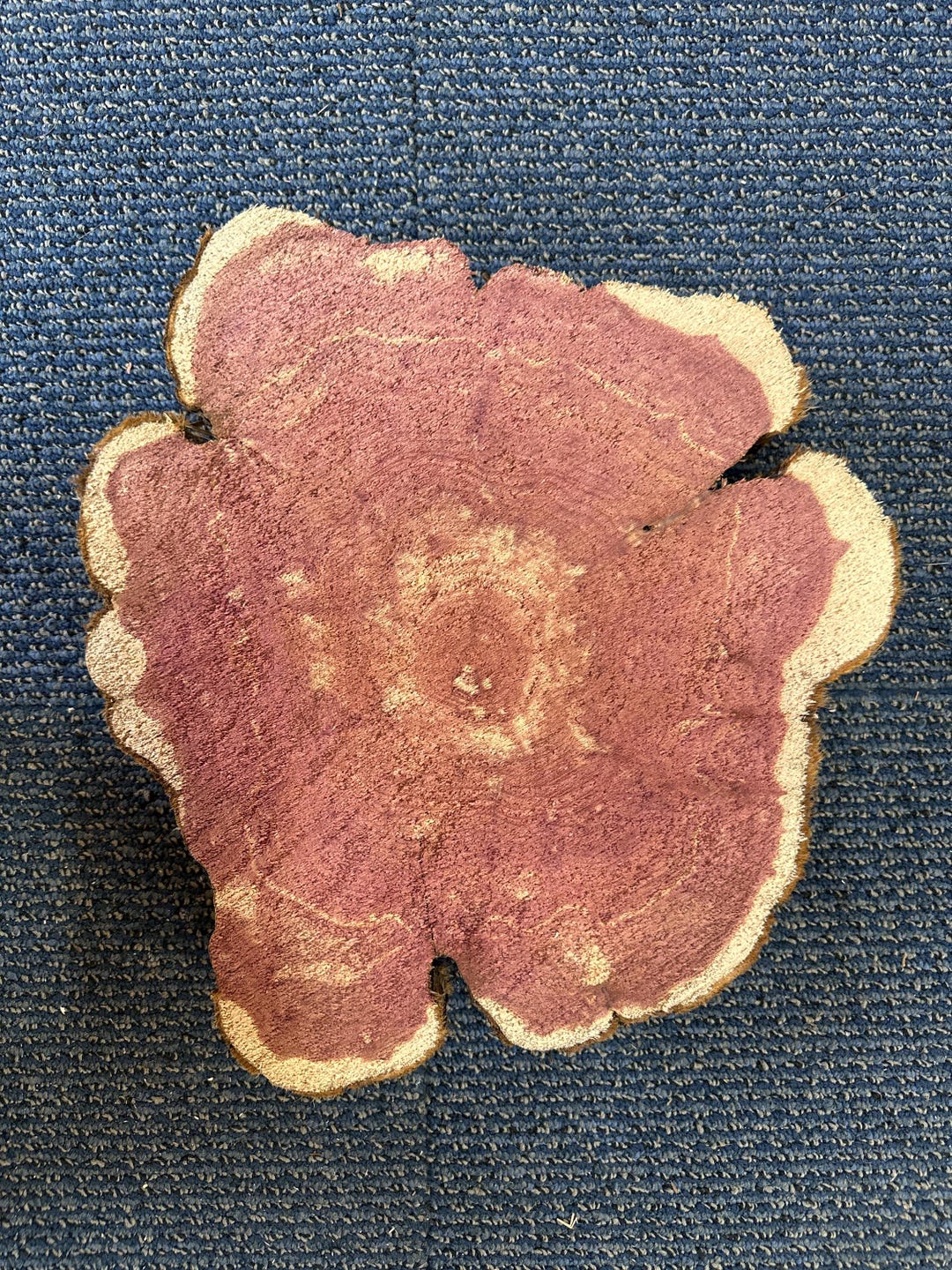 Center Cut Wood Live Edge Slab Round Crosscut Rough Cut DIY Chunky Red ...