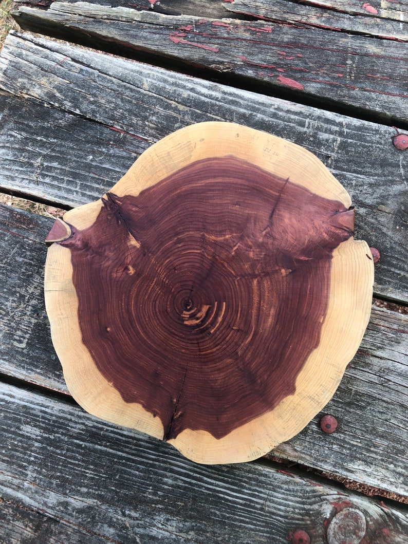 Set of 2 Finished Live Edge Round Wood Crosscut Centerpieces Red Cedar ...