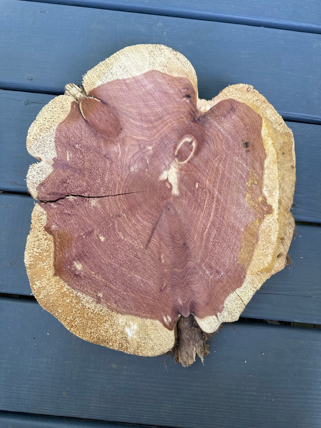 Center Cut Wood Live Edge Slab Round Crosscut Rough Raw Red Cedar - Etsy