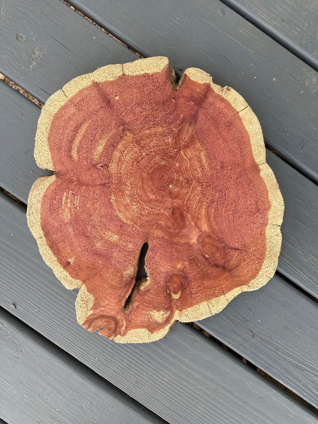 Center Cut Wood Live Edge Slab Round Crosscut Rough Raw Red Cedar 16 - Etsy