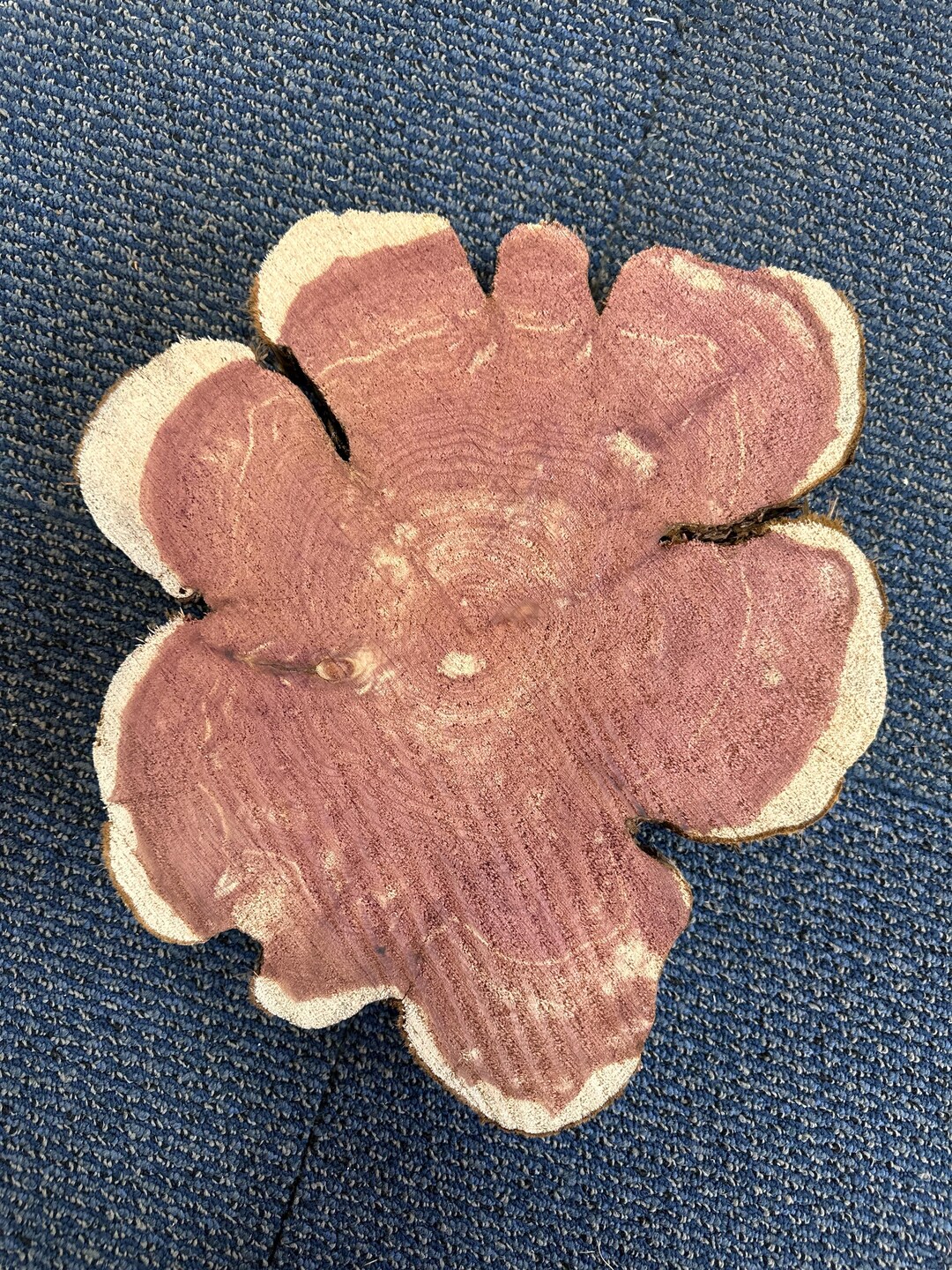 Center Cut Wood Live Edge Slab Round Crosscut Rough Cut DIY Chunky Red ...