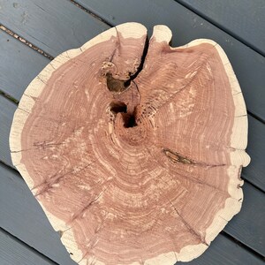 HUGE Chunky Cookie Red Cedar Wood Round Sanded Table DIY 23+” Resin ...