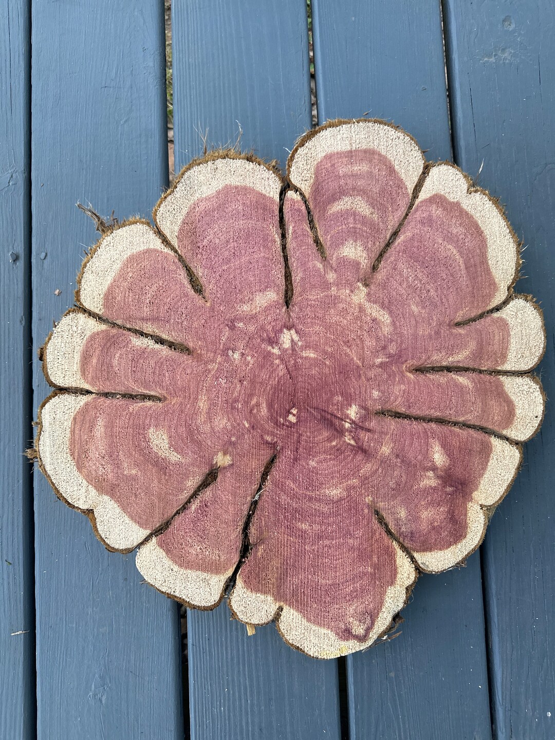 Large Chunky Cookie Red Cedar Wood Round Rough Cut Live Edge DIY 18 - Etsy
