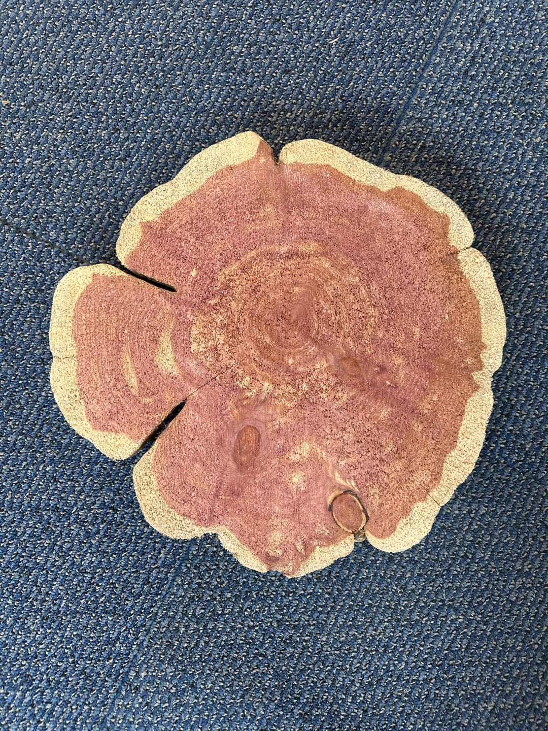 Center Cut Wood Live Edge Slab Round Crosscut Rough Cut DIY Staghorn ...