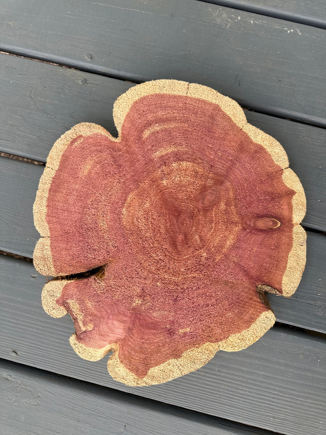 Center Cut Wood Live Edge Slab Round Crosscut Rough Cut DIY Staghorn ...