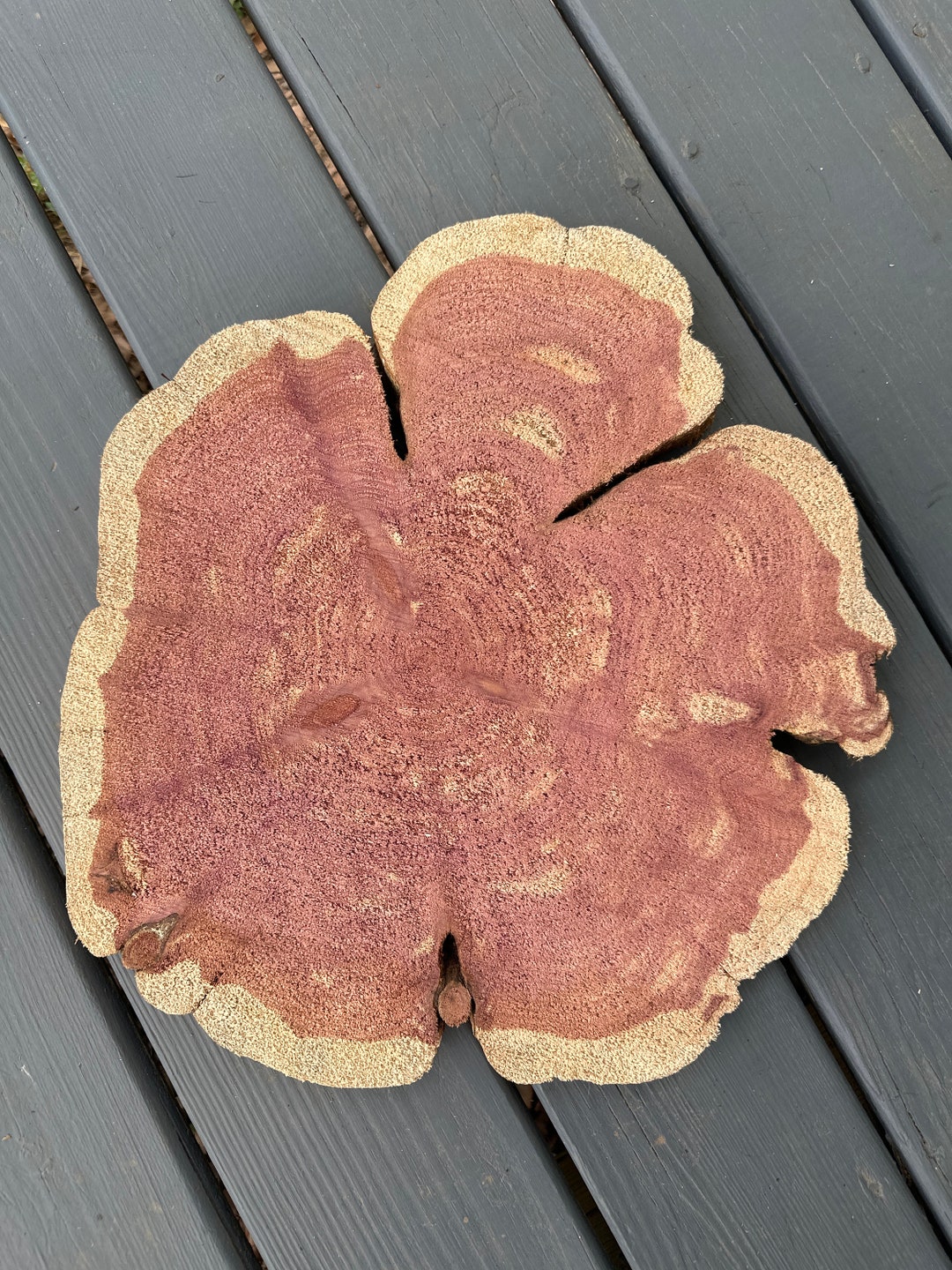 Center Cut Red Cedar Cookie Wood Live Edge Slab Round Crosscut Rough ...
