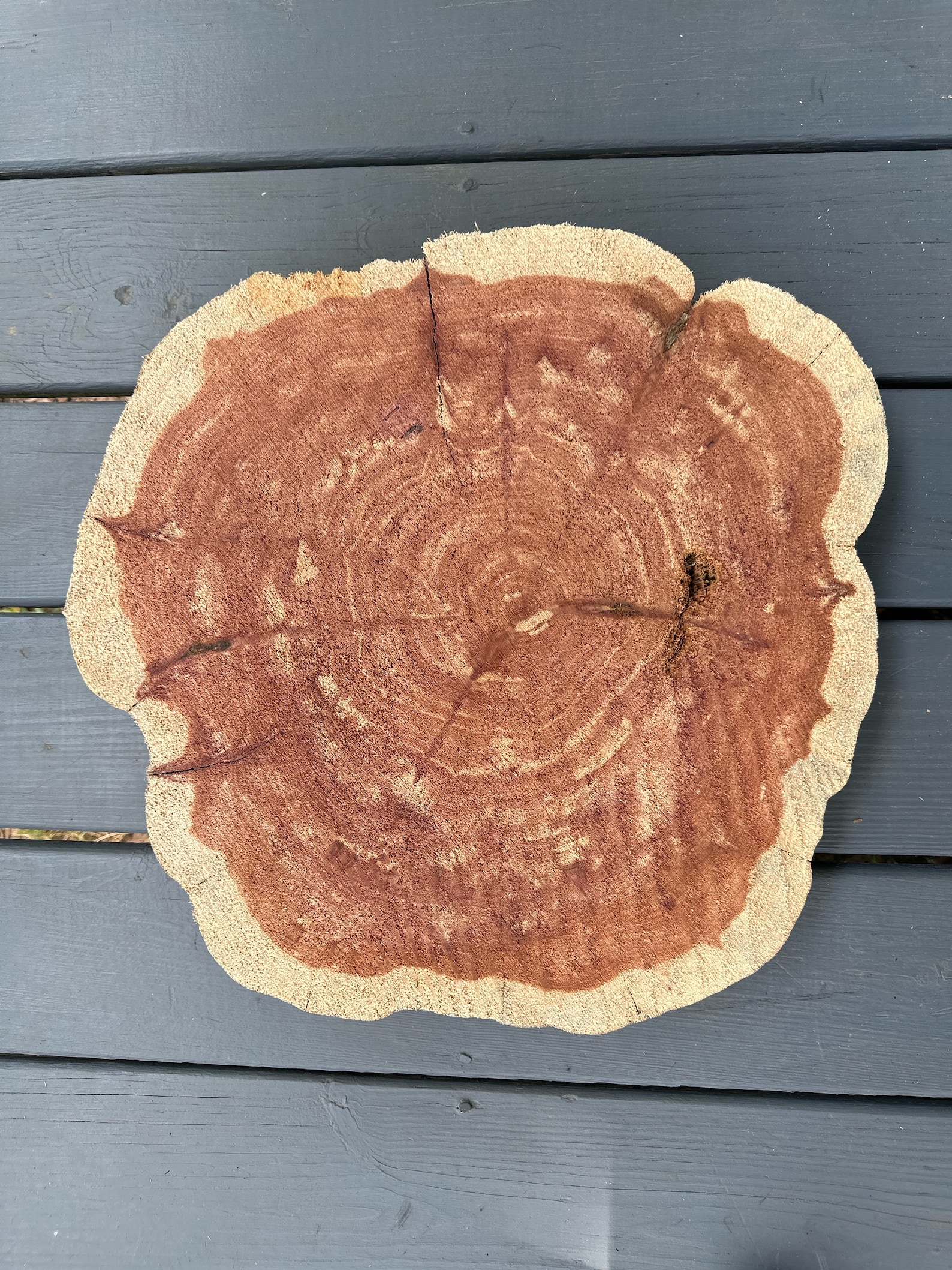 Large Chunky Cookie Red Cedar Wood Round Rough Cut Live Edge Table DIY ...