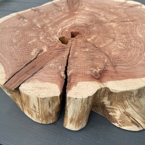 HUGE Chunky Cookie Red Cedar Wood Round Sanded Table DIY 23+” Resin ...