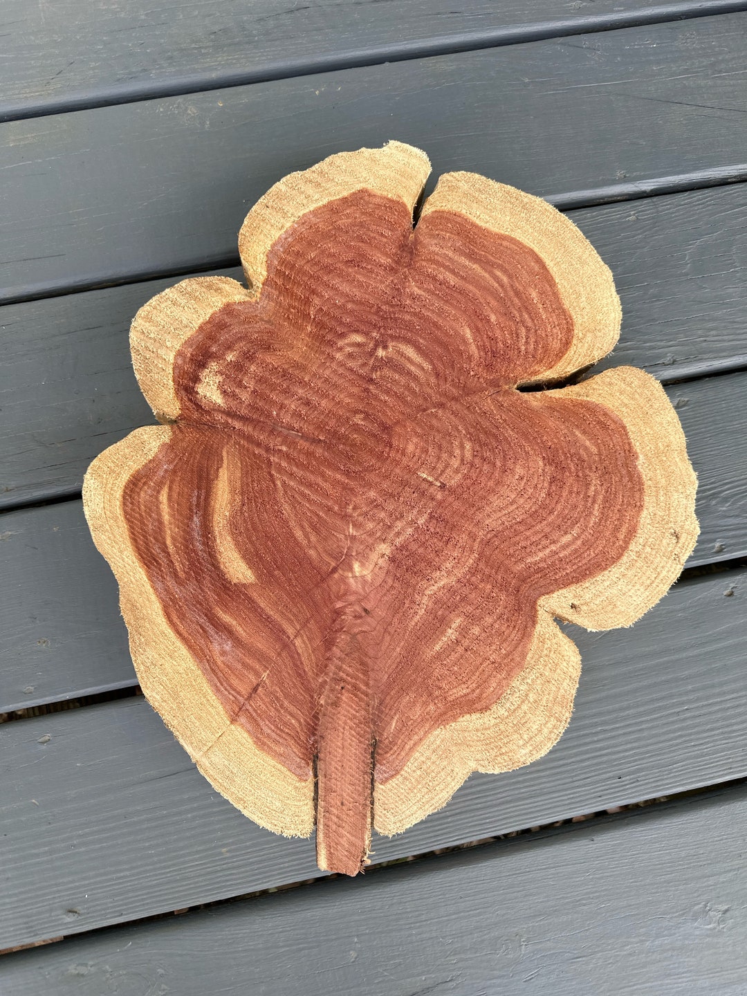 Live Edge Round Red Cedar Thick Cookie Wood Slab Crosscut Rough DIY 17 ...