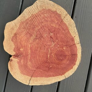 Large Chunky Cookie Red Cedar Wood Round Rough Cut Table DIY - Etsy