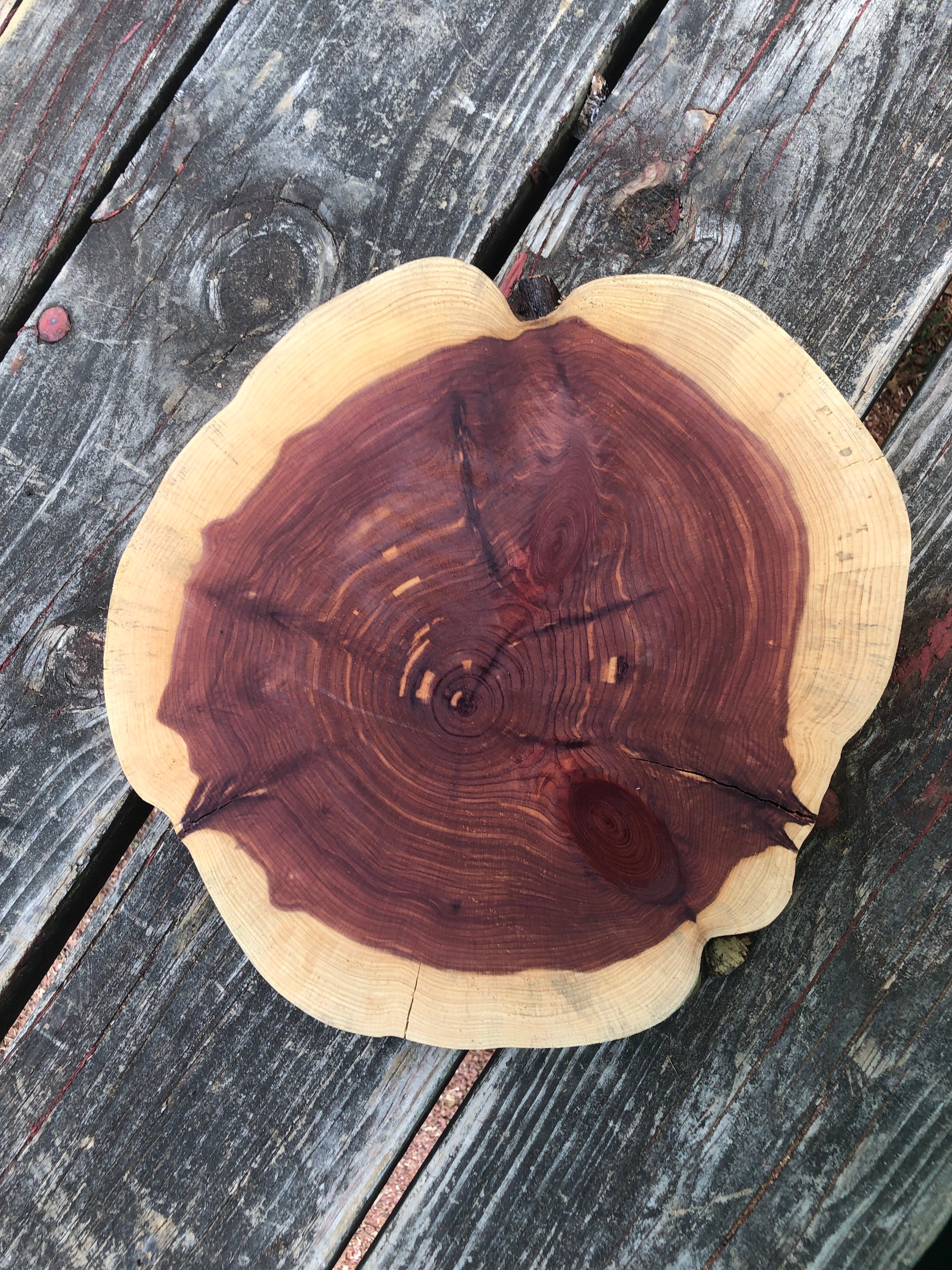 Set of 2 Finished Live Edge Round Wood Crosscut Centerpieces Red Cedar ...
