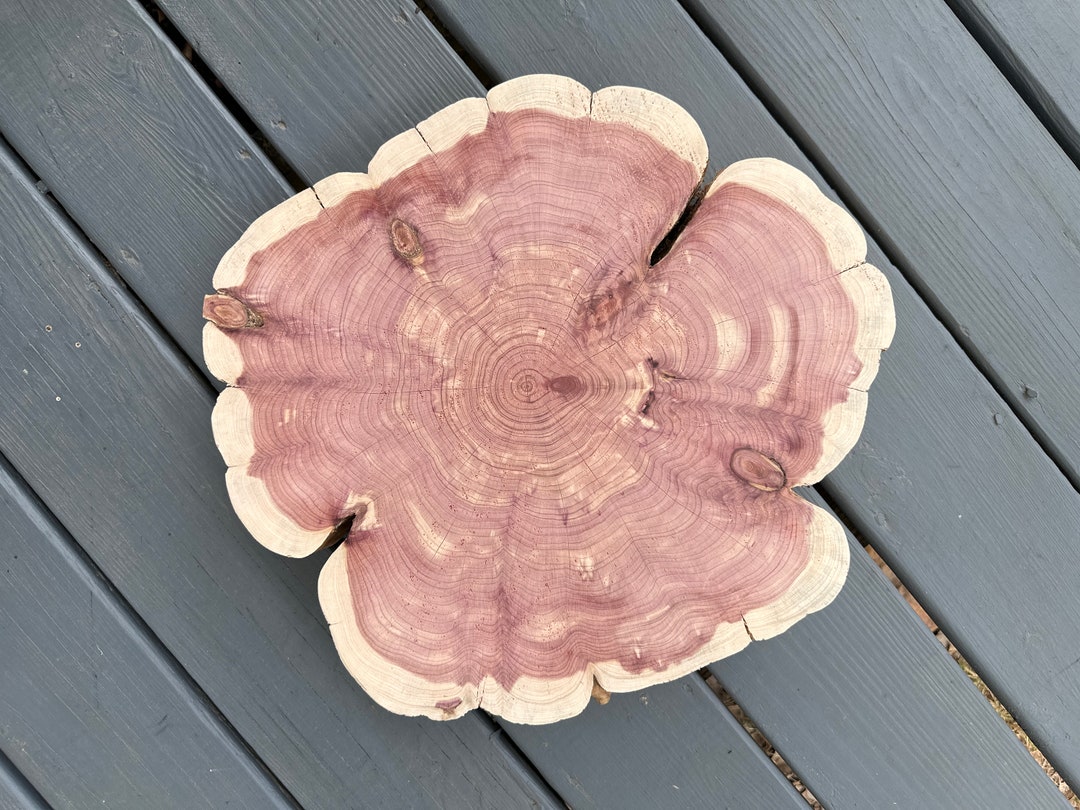 Large Chunky Cookie Red Cedar Wood Round Sanded Table DIY 16+” - Etsy